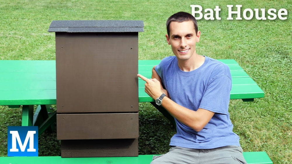 DIY Bat House Plans to Build - Blitsy