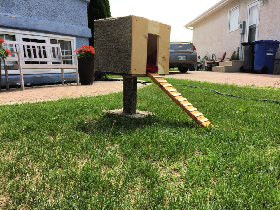 25 Free DIY Outdoor Cat House Plans - Outdoor Cat Shelter - Blitsy