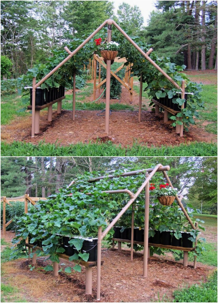 20 Homemade DIY Cucumber Trellis Ideas - Blitsy