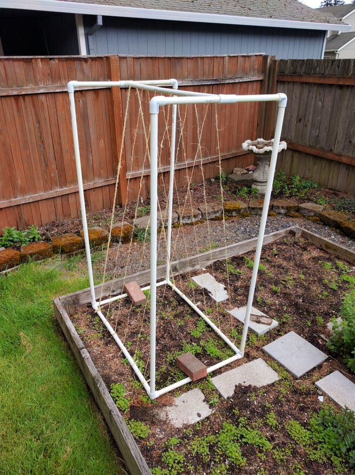 DIY Pea Trellis: 20 Ideas to Support Peas - Blitsy