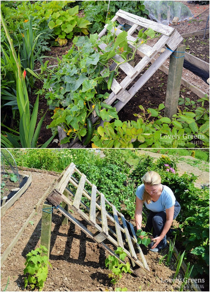20 Homemade DIY Cucumber Trellis Ideas - Blitsy