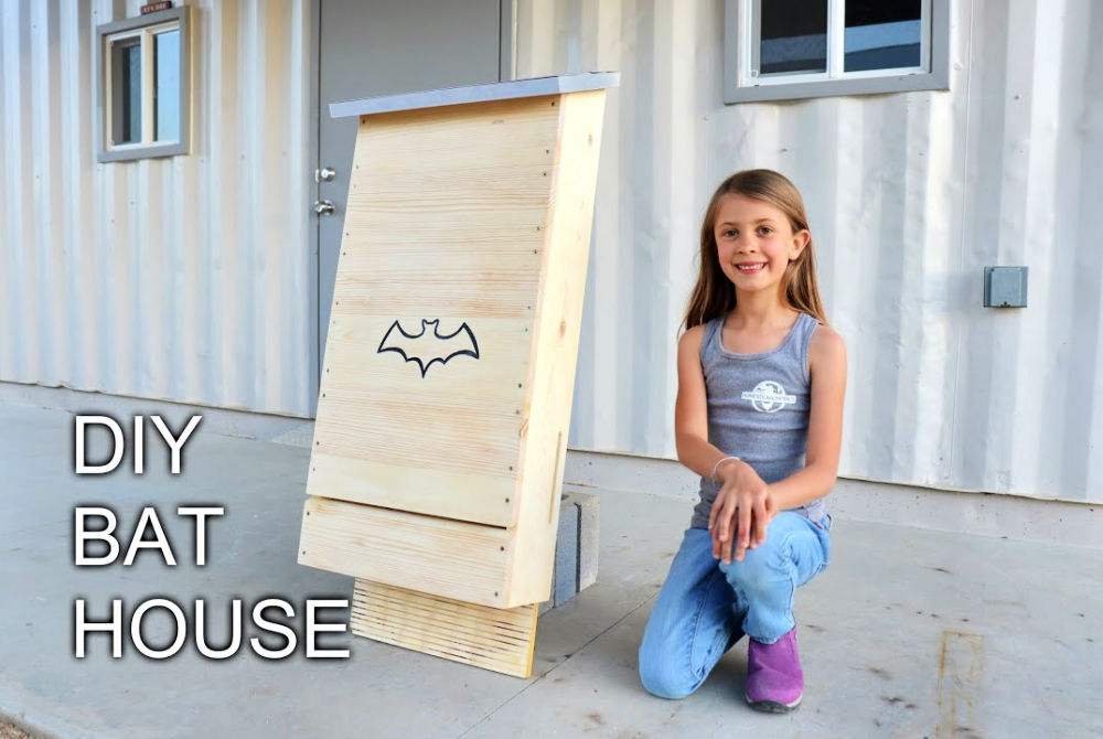 DIY Bat House Plans to Build - Blitsy