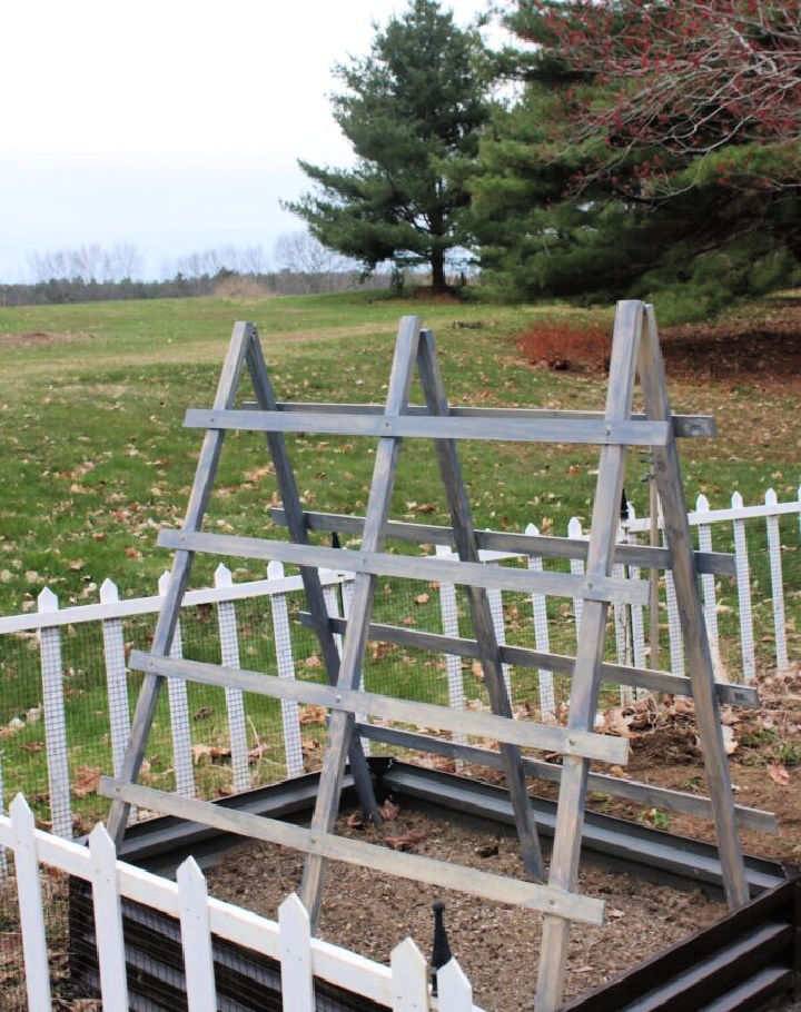 DIY Pea Trellis: 20 Ideas to Support Peas - Blitsy
