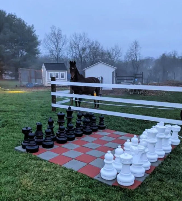 Easy DIY Chess Board (25 Ways) - Blitsy