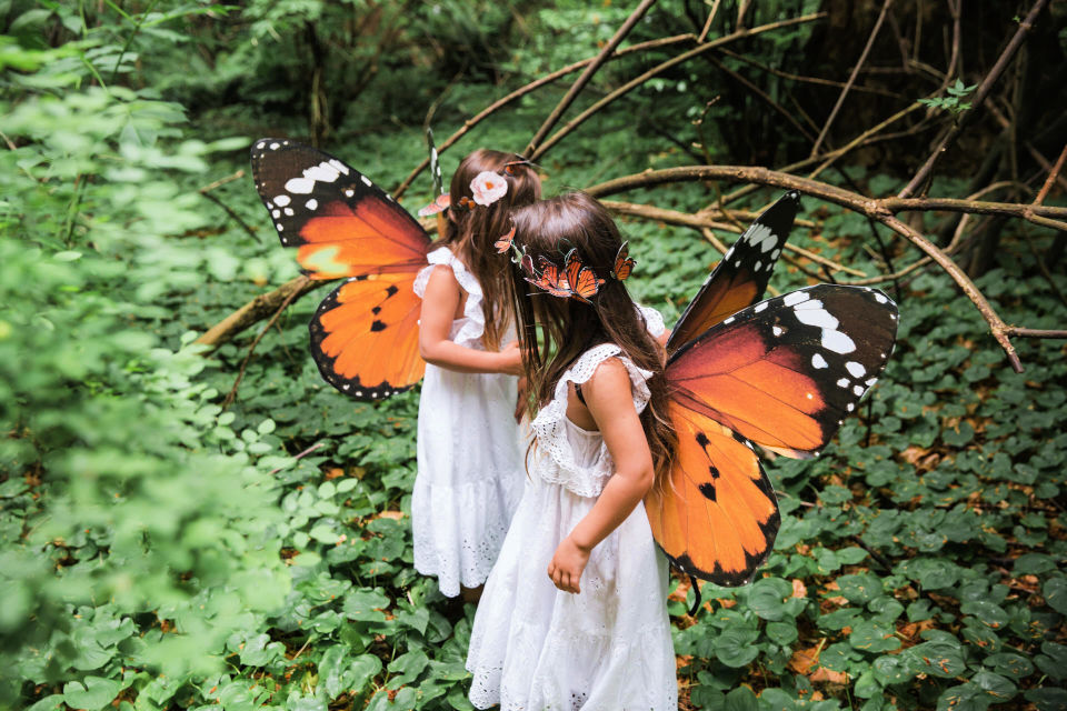 DIY Fairy Wings - Step by Step Instructions - Blitsy