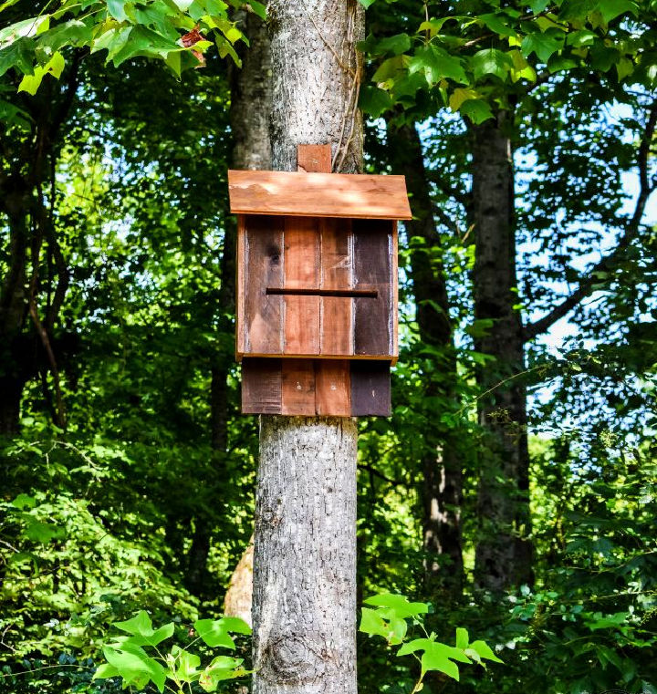 DIY Bat House Plans to Build - Blitsy