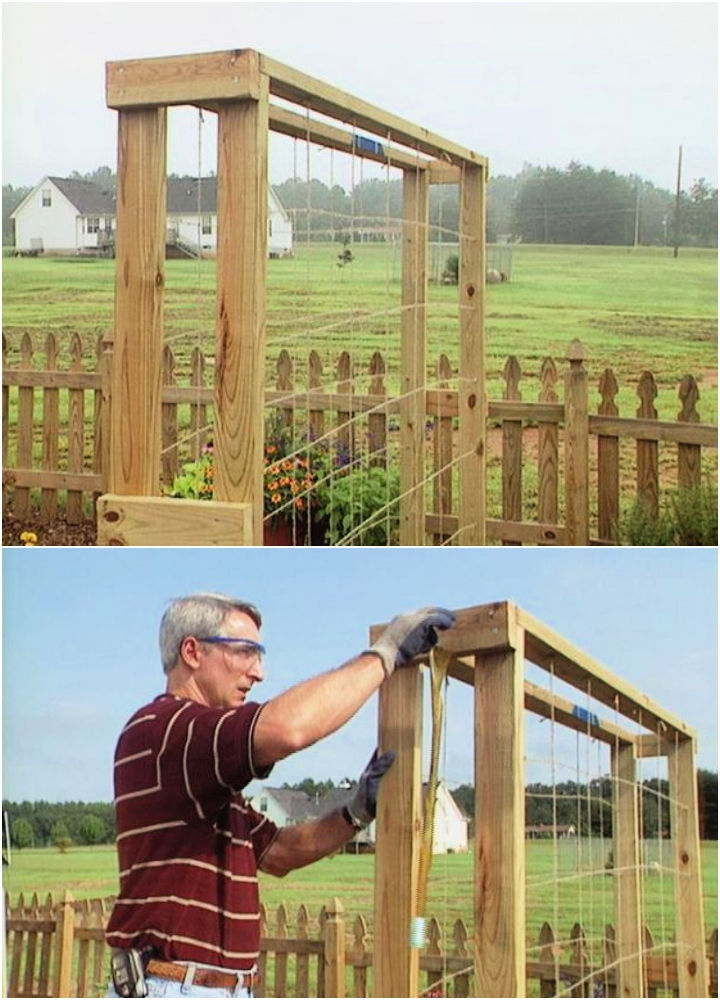 20 Homemade DIY Cucumber Trellis Ideas - Blitsy