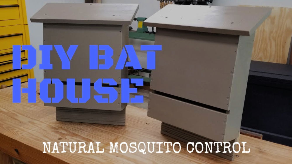 DIY Bat House Plans to Build - Blitsy
