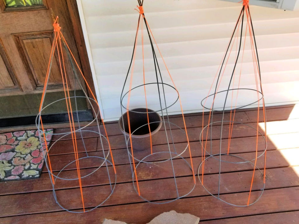 DIY Pea Trellis: 20 Ideas to Support Peas - Blitsy