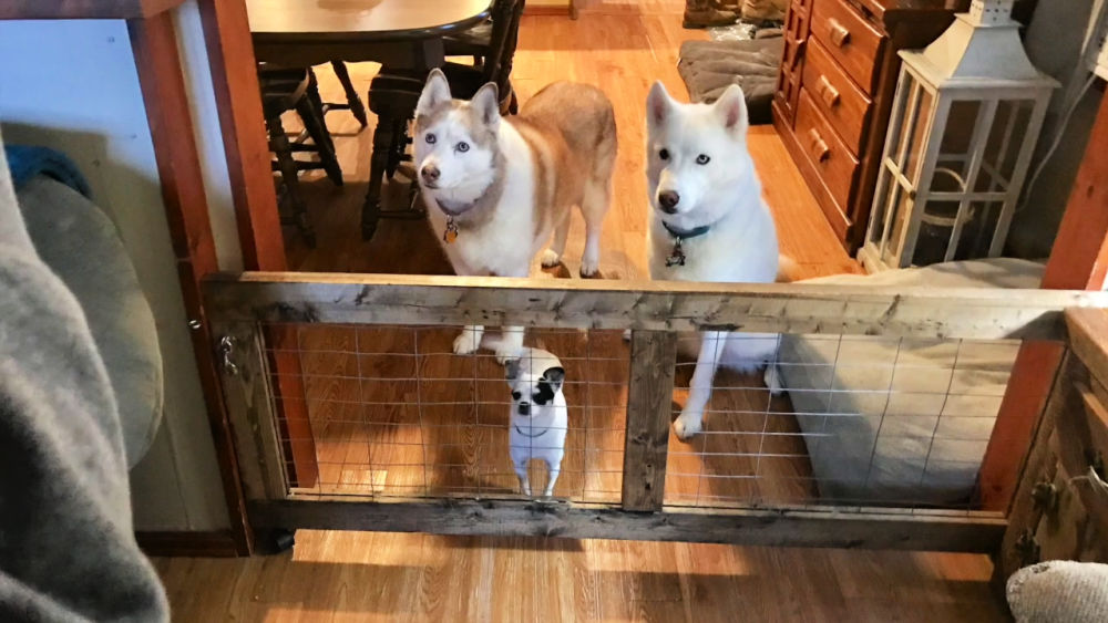 25 DIY Dog Gate Ideas and Plans - Install Easy DIY Pet Gate