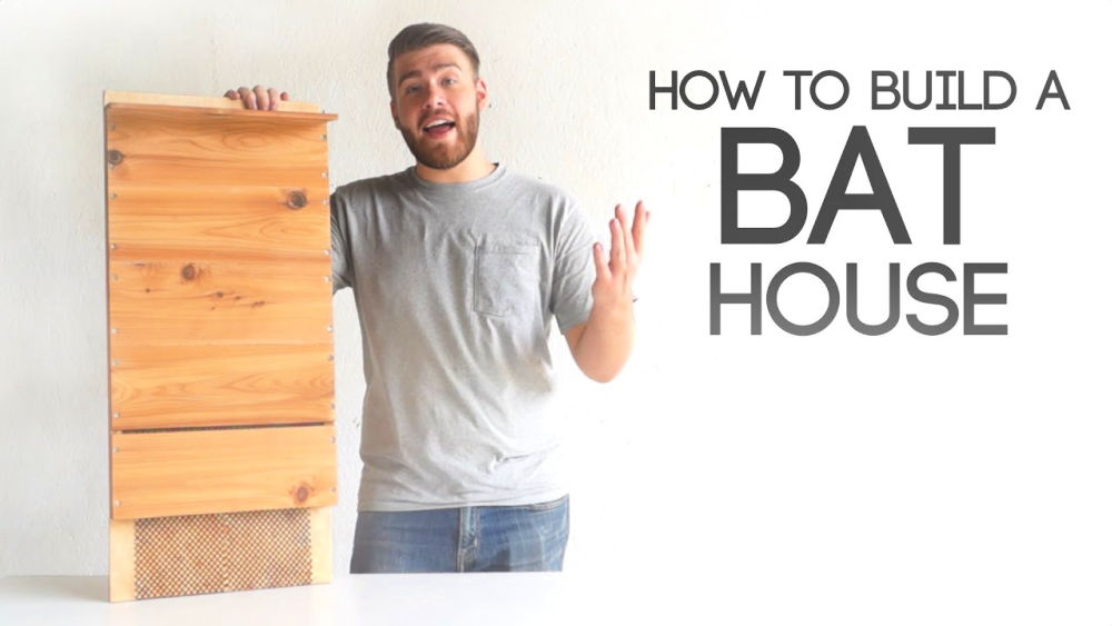 DIY Bat House Plans to Build - Blitsy