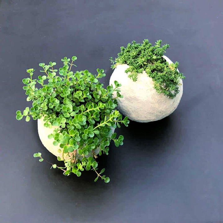 25 Brilliant DIY Concrete Planters To Make - Blitsy