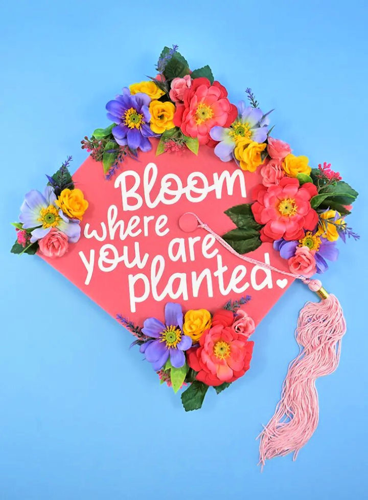 25 Unique Graduation Cap Ideas to Make - Blitsy