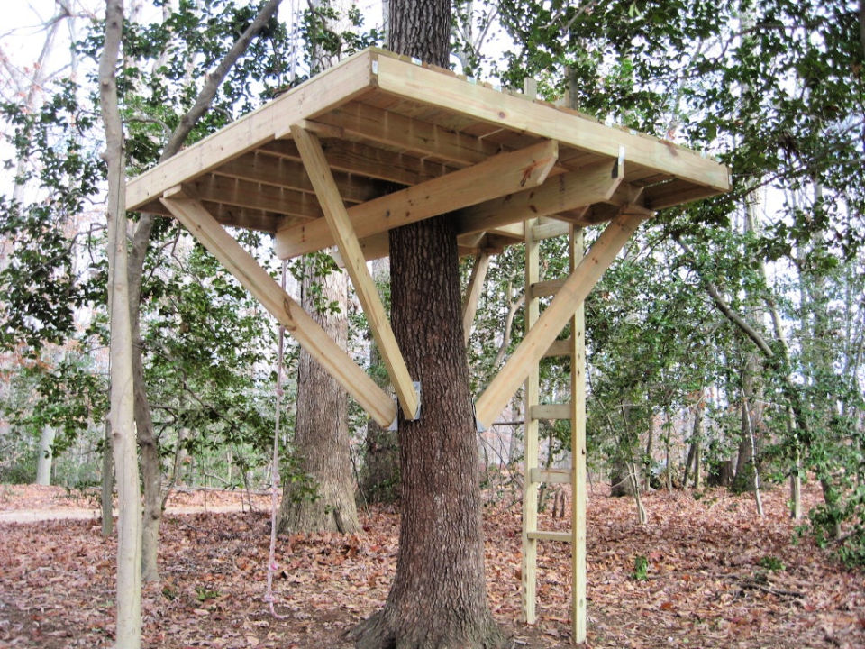 DIY Tree House (30 Free Plans) - Blitsy