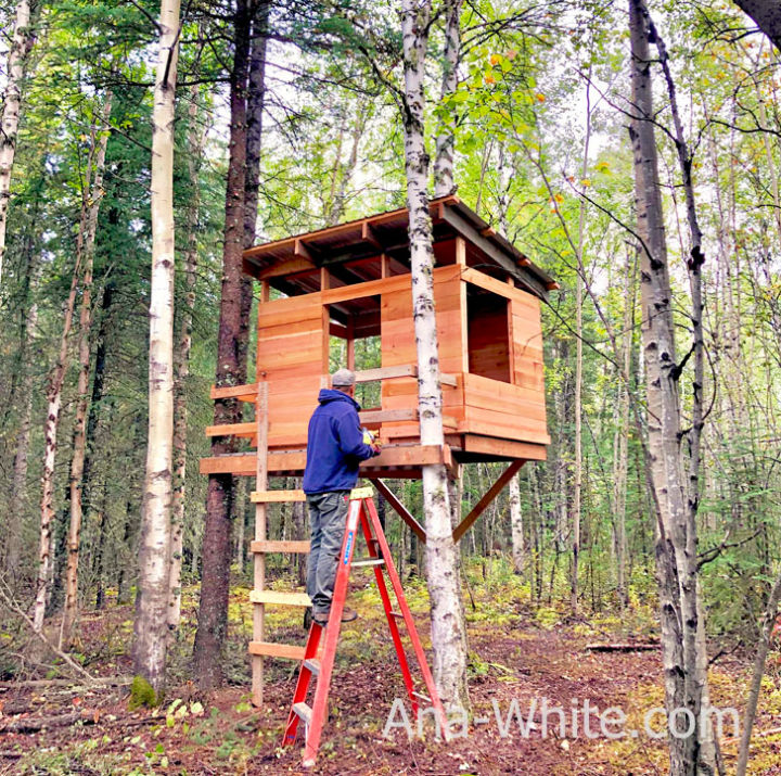 DIY Tree House (30 Free Plans) - Blitsy