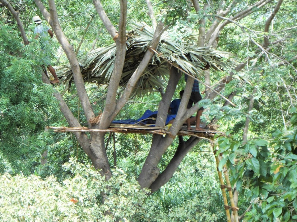 DIY Tree House (30 Free Plans) - Blitsy