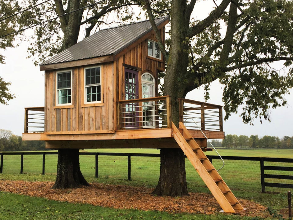 DIY Tree House (30 Free Plans) - Blitsy