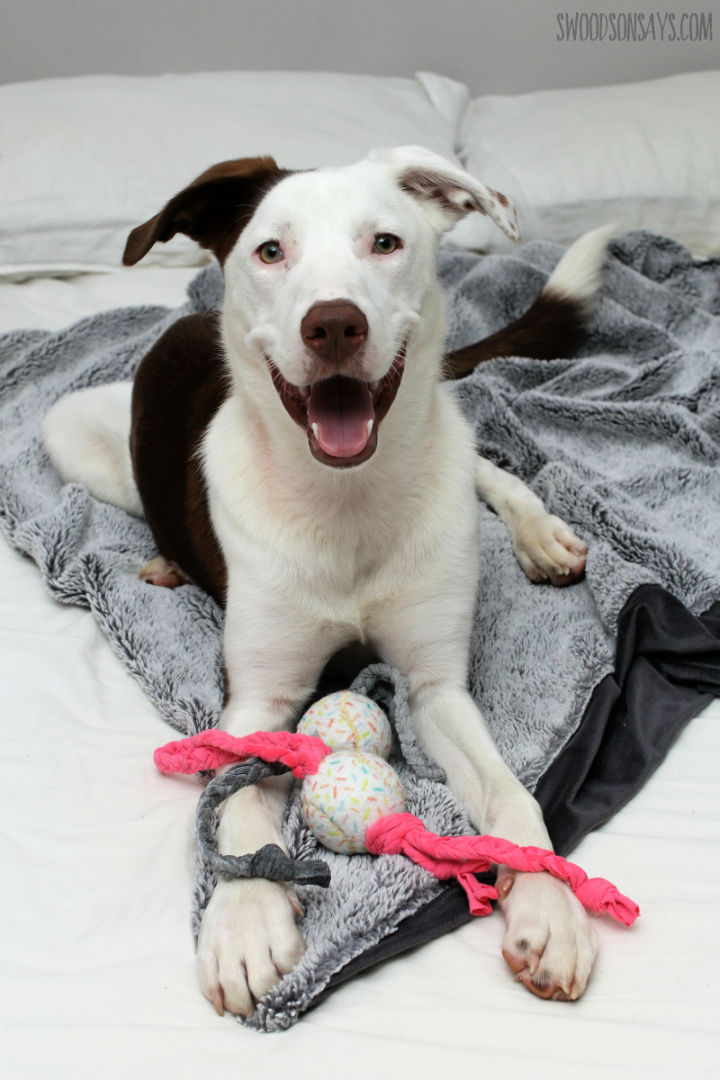 30 Homemade DIY Toys for Kids - Blitsy