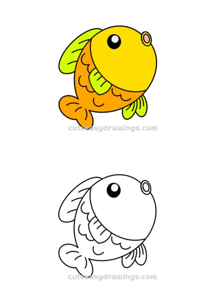 25 Easy Fish Drawing Ideas - How to Draw a Fish