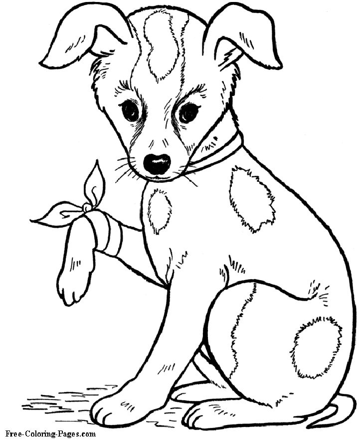 25 Free Printable Dog Coloring Pages for Kids and Adults
