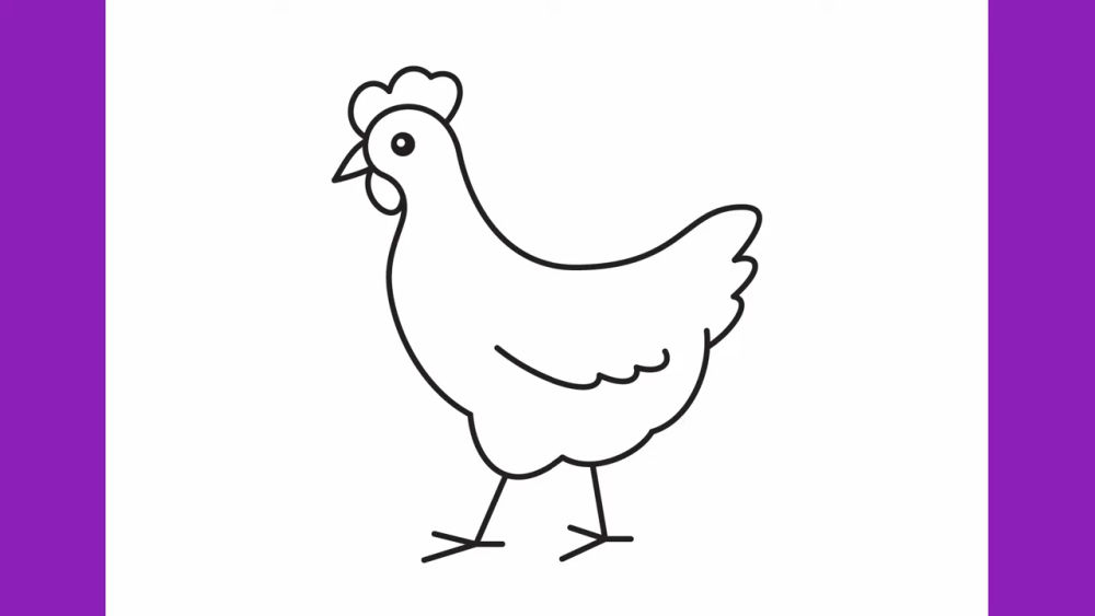 25 Easy Chicken Drawing Ideas - How to Draw a Chicken