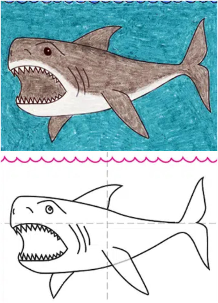 25 Easy Shark Drawing Ideas - How to Draw a Shark