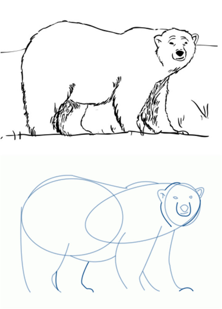 25 Easy Bear Drawing Ideas - How to Draw a Bear