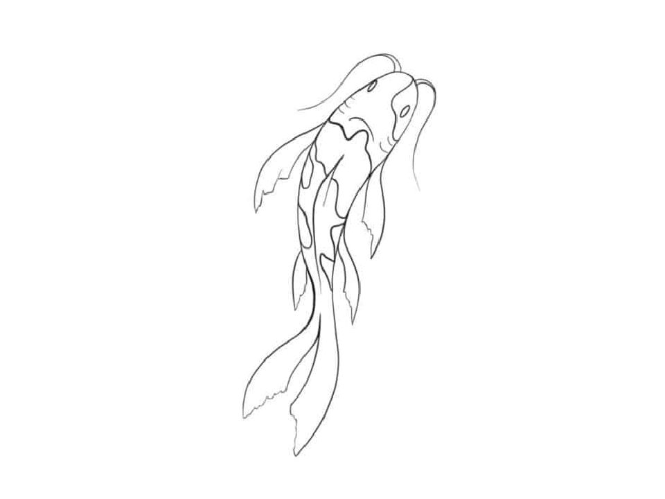 25 Easy Fish Drawing Ideas - How to Draw a Fish
