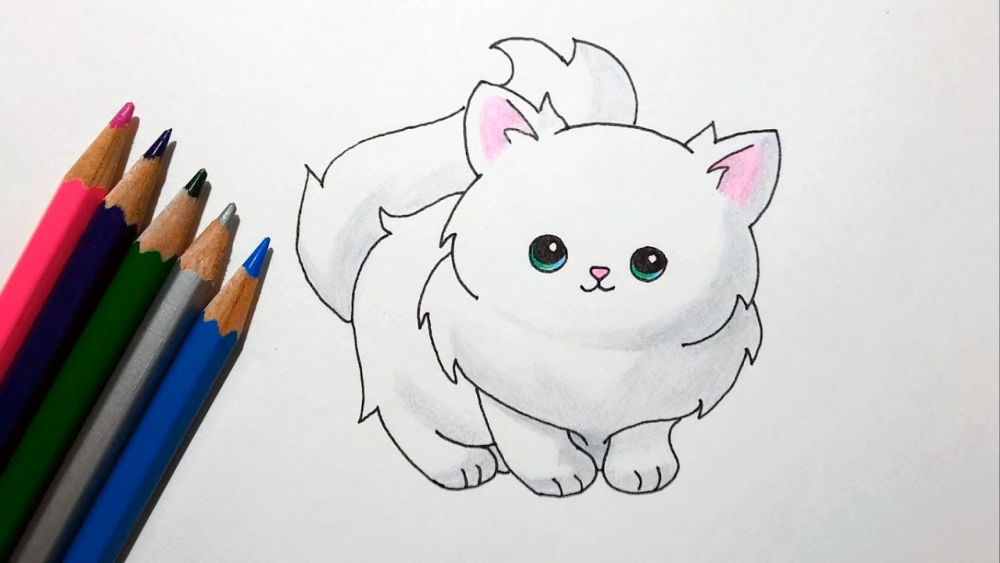 30 Cute and Easy Cat Drawing Ideas - How To Draw A Cat - Blitsy
