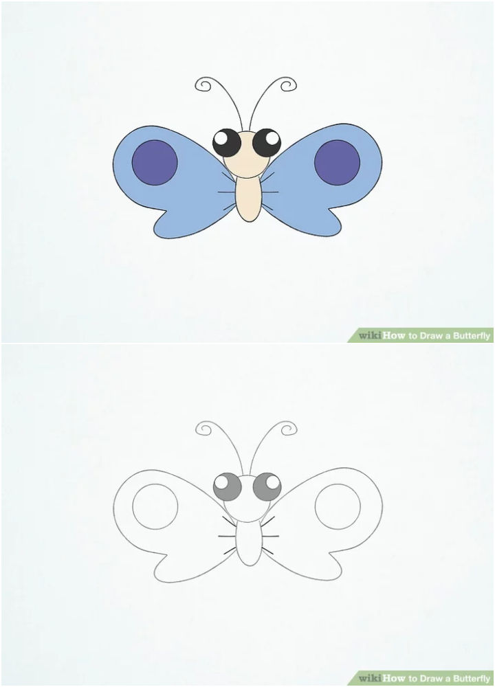 25 Easy Butterfly Drawing Ideas - How to Draw