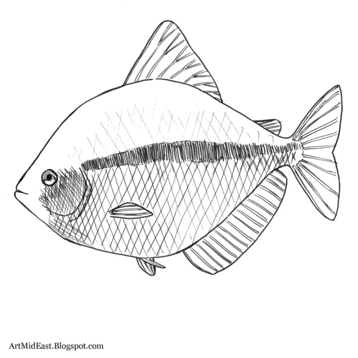 25 Easy Fish Drawing Ideas - How to Draw a Fish