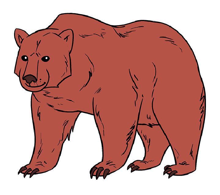 25 Easy Bear Drawing Ideas - How to Draw a Bear
