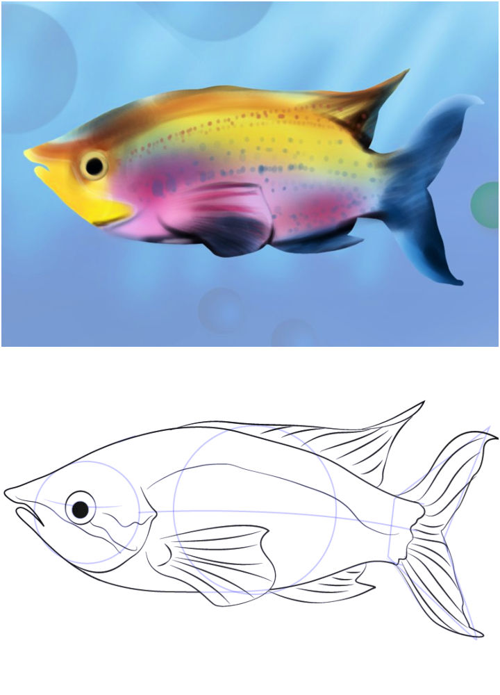 25 Easy Fish Drawing Ideas - How to Draw a Fish