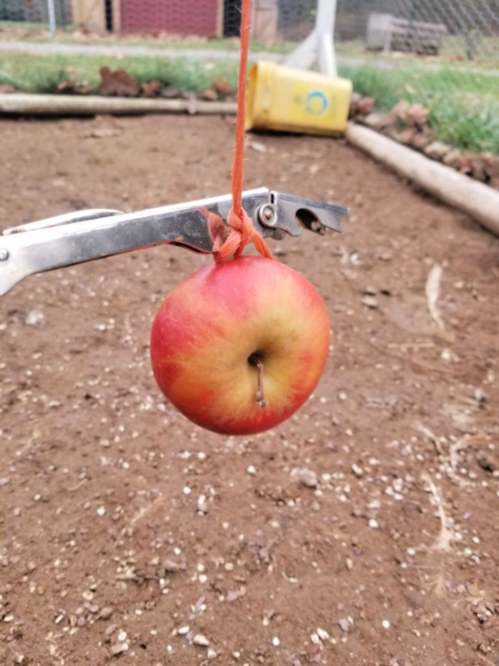 30 Homemade DIY Toys for Kids - Blitsy