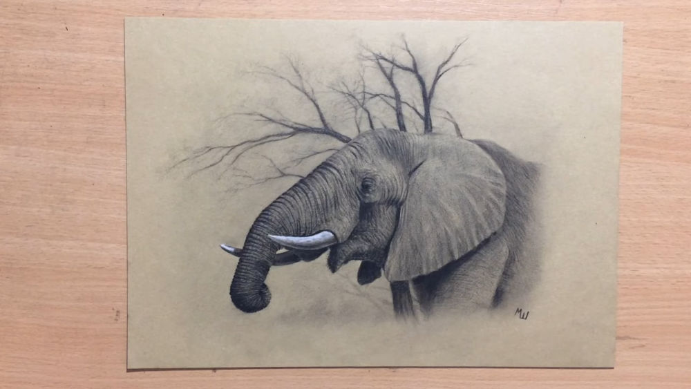 25 Easy Elephant Drawing Ideas - How to Draw an Elephant