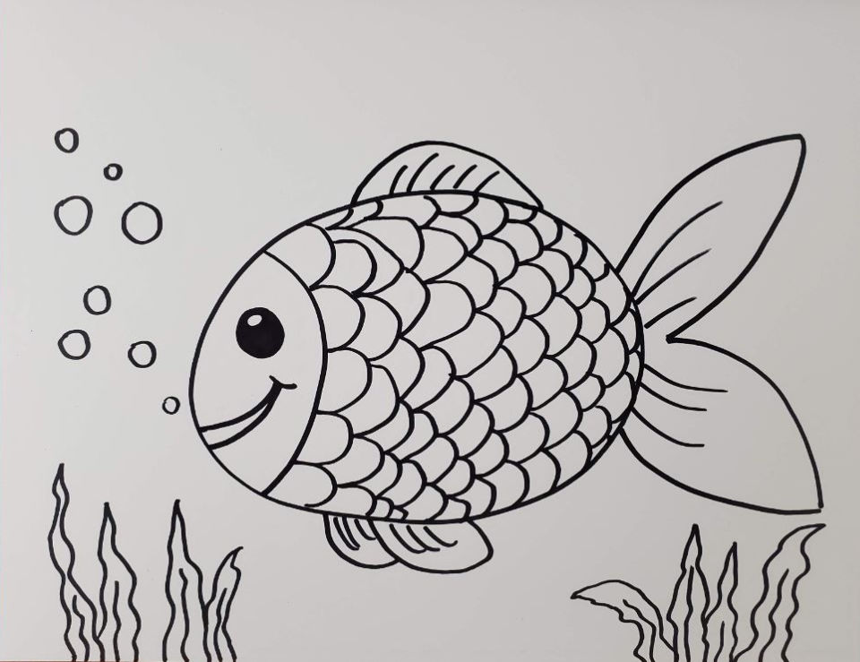 25 Easy Fish Drawing Ideas - How to Draw a Fish