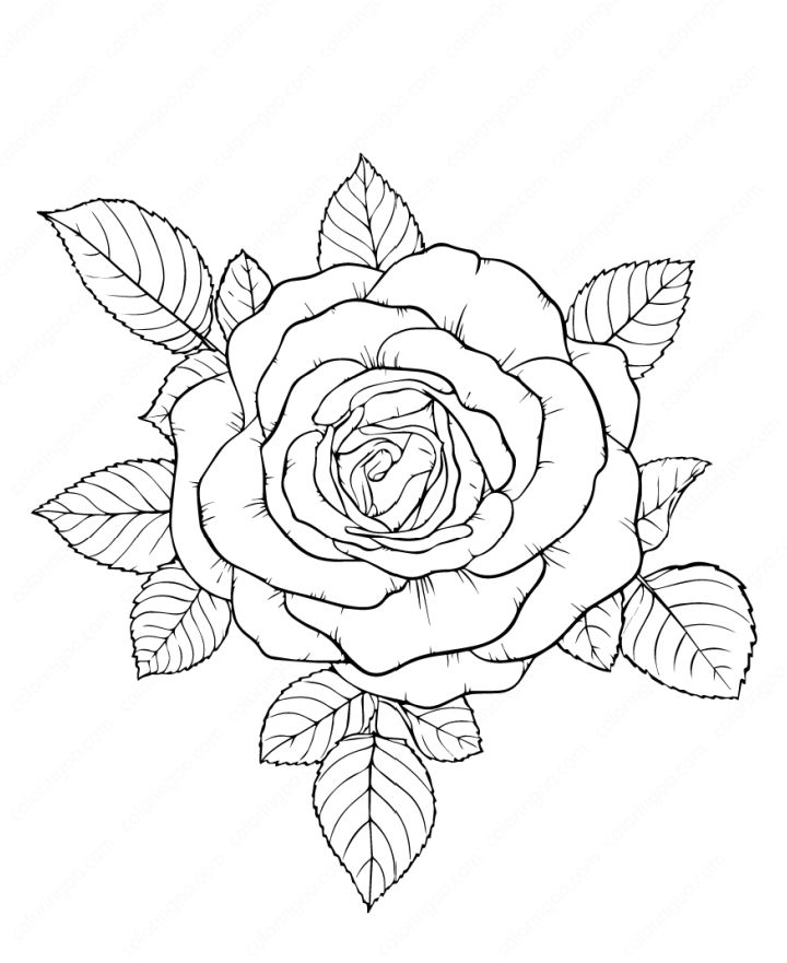 25 Free Flower Coloring Pages for Kids and Adults