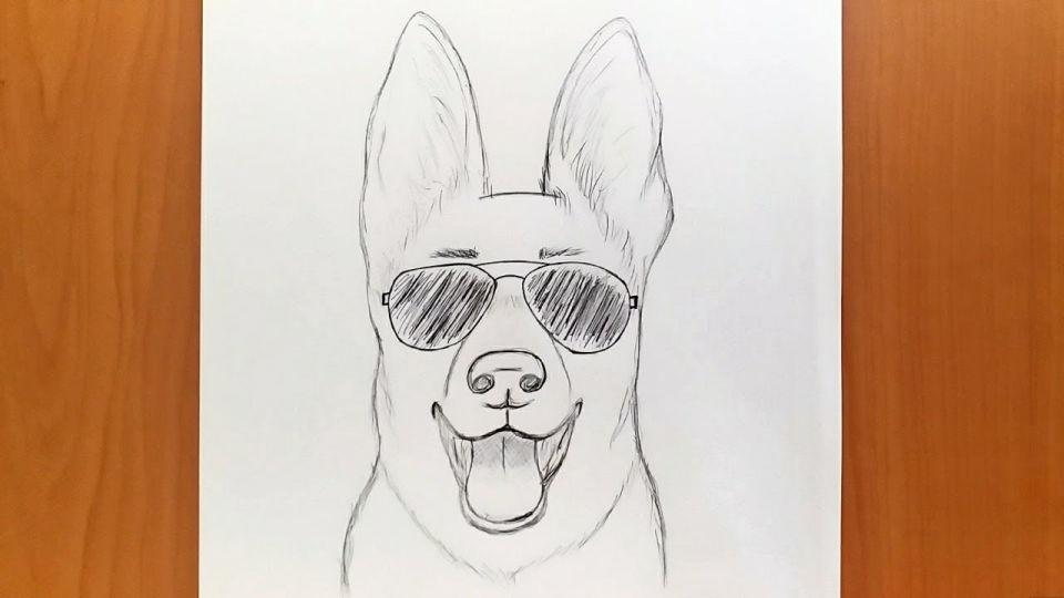 25 Easy Dog Drawing Ideas - How to Draw a Dog