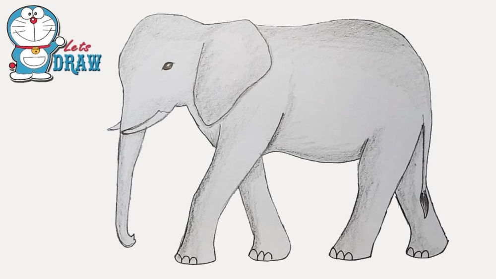 25 Easy Elephant Drawing Ideas - How to Draw an Elephant