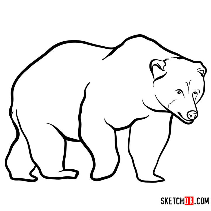 25 Easy Bear Drawing Ideas - How to Draw a Bear