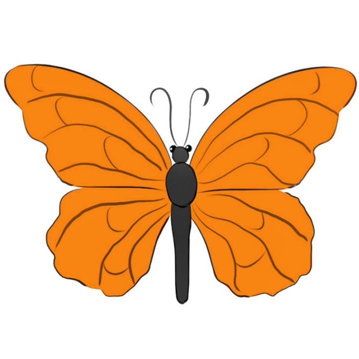 25 Easy Butterfly Drawing Ideas - How to Draw
