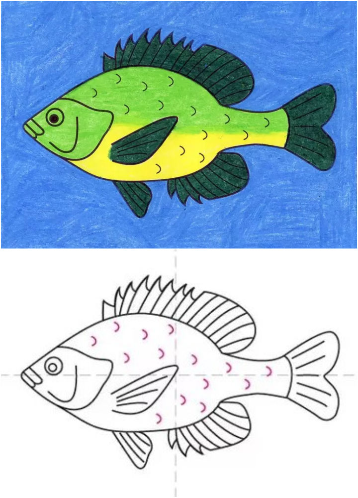 25 Easy Fish Drawing Ideas - How to Draw a Fish