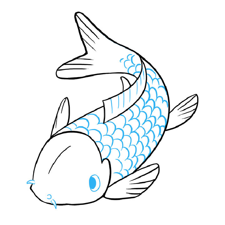 25 Easy Fish Drawing Ideas - How to Draw a Fish