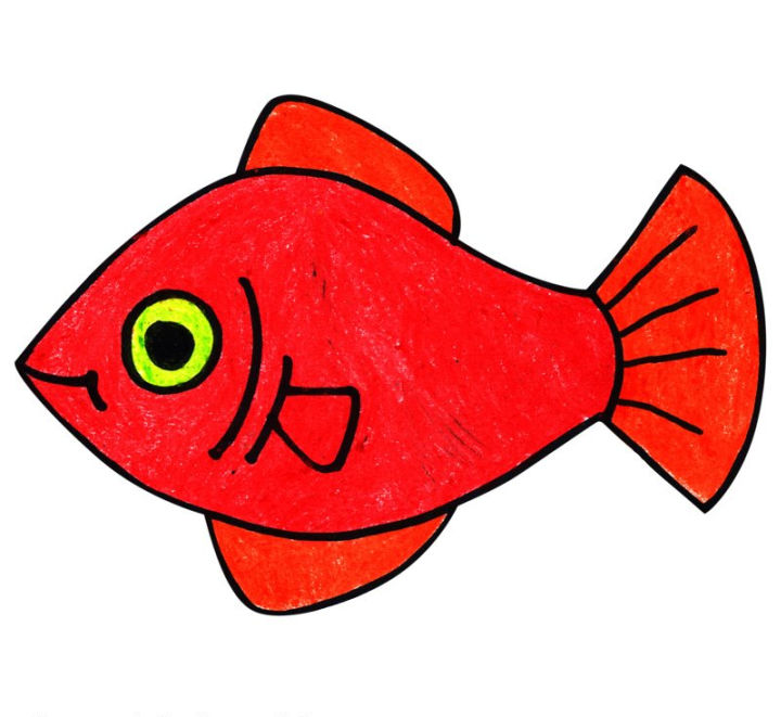25 Easy Fish Drawing Ideas - How to Draw a Fish