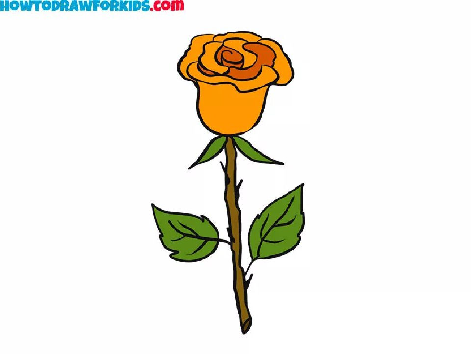 25 Easy Rose Drawing Ideas - How to Draw a Rose