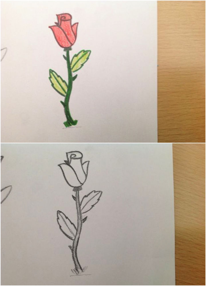 25 Easy Rose Drawing Ideas - How to Draw a Rose