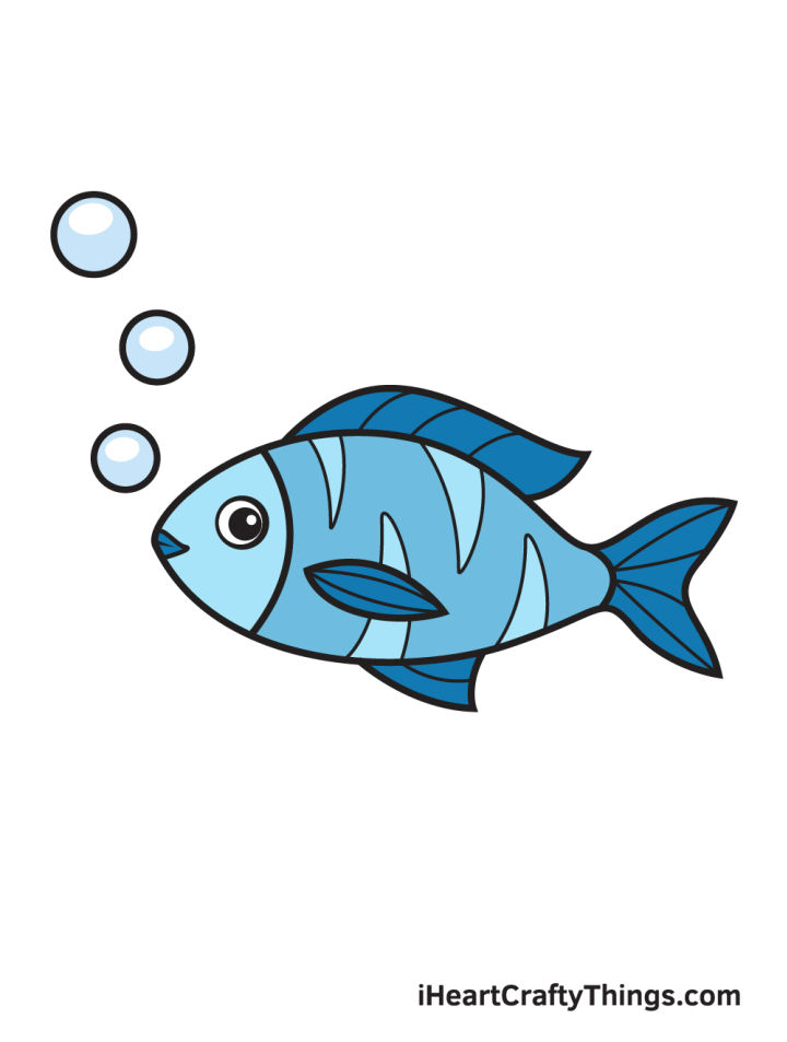 25 Easy Fish Drawing Ideas - How to Draw a Fish