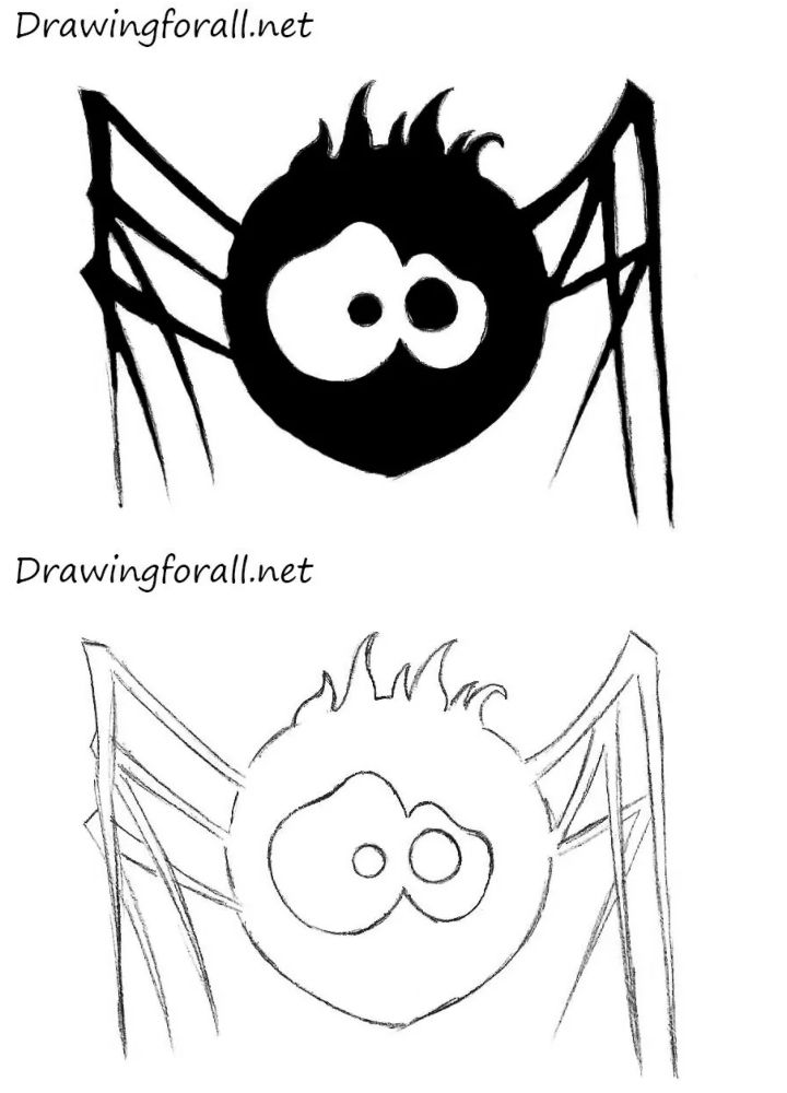 25 Easy Spider Drawing Ideas - How to Draw a Spider
