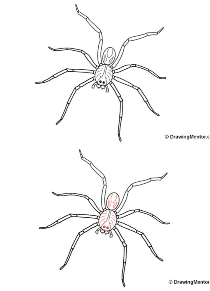 25 Easy Spider Drawing Ideas - How to Draw a Spider