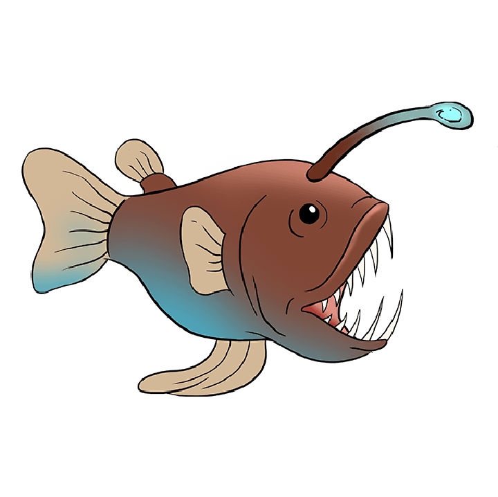 25 Easy Fish Drawing Ideas - How to Draw a Fish